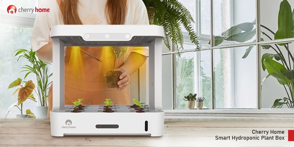 Plant like a pro with Cherry Home Smart Hydroponic Plant Box - The ...